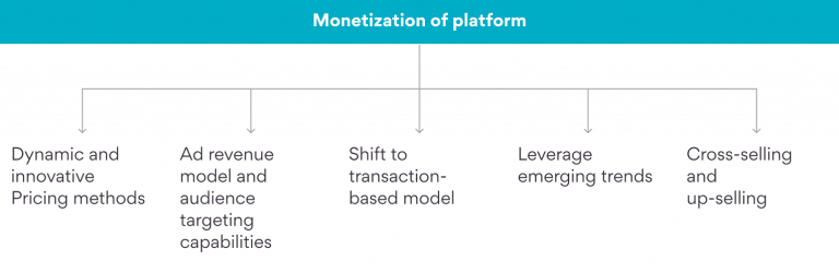 What Are The 5 Ways to Monetize Your Software Platform