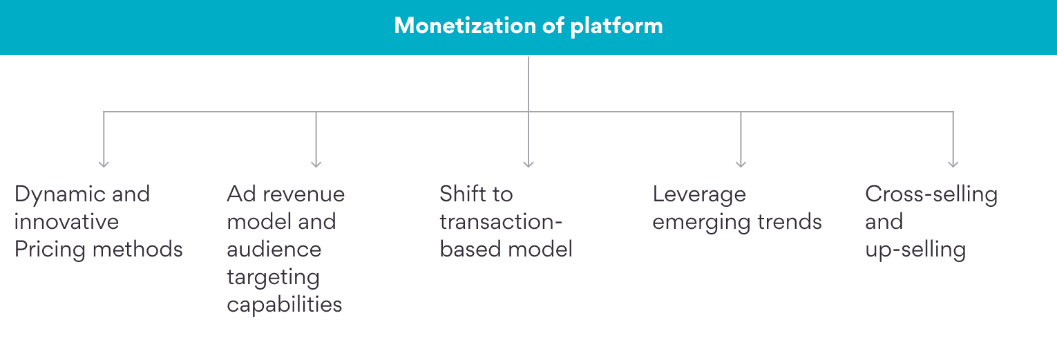What Are The 5 Ways to Monetize Your Software Platform