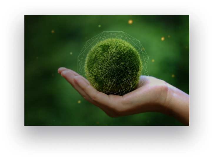 Investor Relations | Persistent Systems